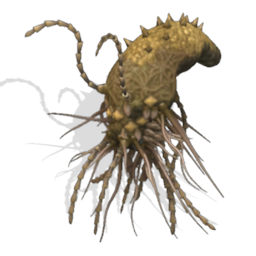 Halo Flood Infection Form