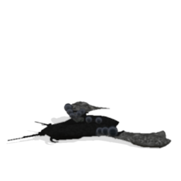 Sporistics / Xeelee Nightfighter