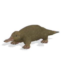 Steropodon - Alchetron, The Free Social Encyclopedia