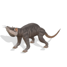 Deltatheridium - Alchetron, The Free Social Encyclopedia