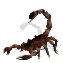 Gigantoscorpio
