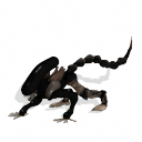 Sporistics / Crawling Xenomorph