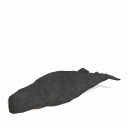 Sporistics / Sperm Whale