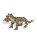 Sporistics / Pseudaelurus