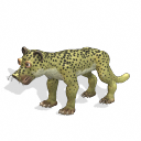 Sporistics / Persian leopard