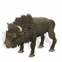 Sporistics / European bison