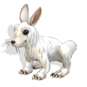 Sporistics / Arctic hare