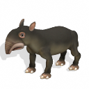 Sporistics / Baird's tapir