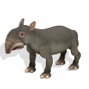 Sporistics / Brazilian tapir