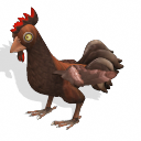 Sporistics / Rooster