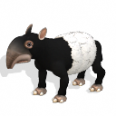 Sporistics / Malayan tapir