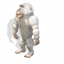 Sporistics / The Yeti