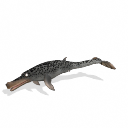 Sporistics / Dorudon