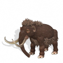 Sporistics / Mammoth