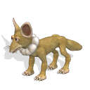 Sporistics / Popy The Fennec fox