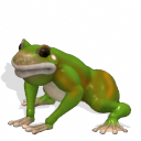 Sporistics / CAKED UP FROG