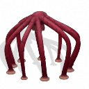 Sporistics / Web Kraken